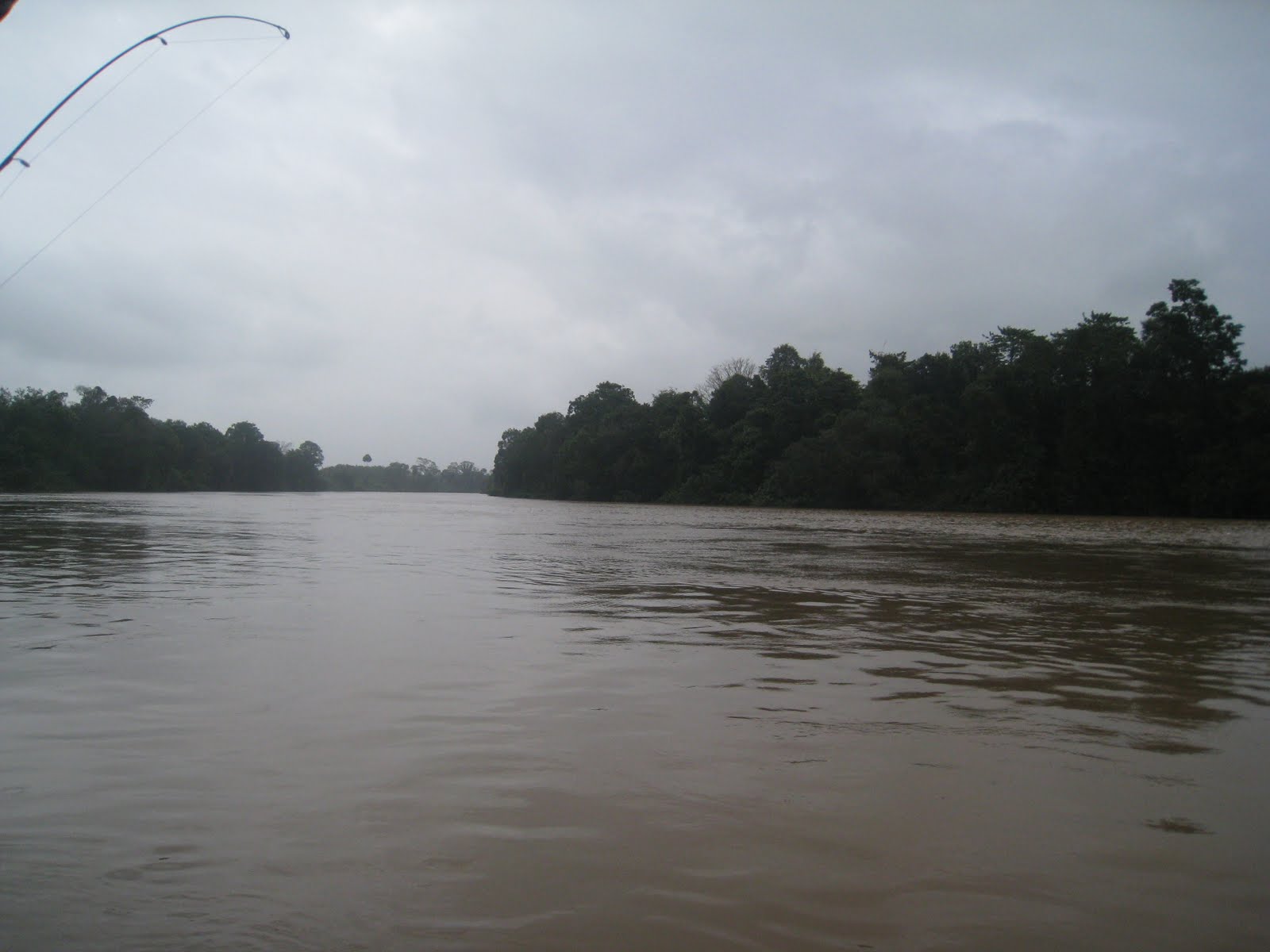 Rompin River - Alchetron, The Free Social Encyclopedia