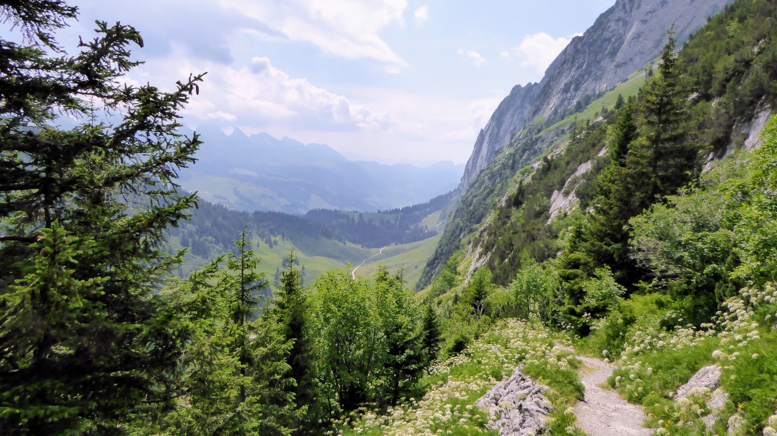 Alpstein-Wanderung von der Stauberen hinüber nach Wildhaus – Wandern ...