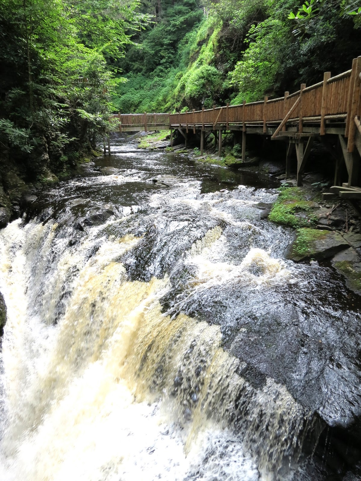 Viewing nature with Eileen: Bushkill Falls