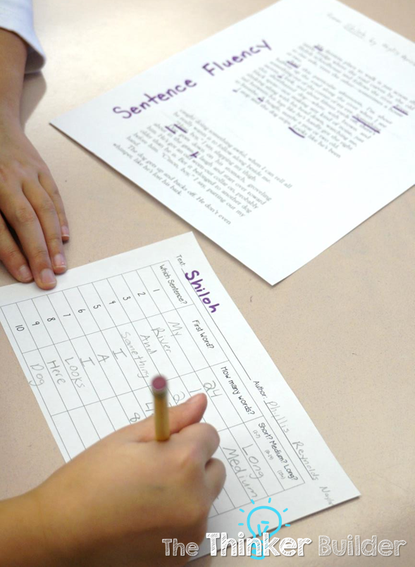 Who's Who and Who's New: Discovering Strategies for Strong Sentence Fluency