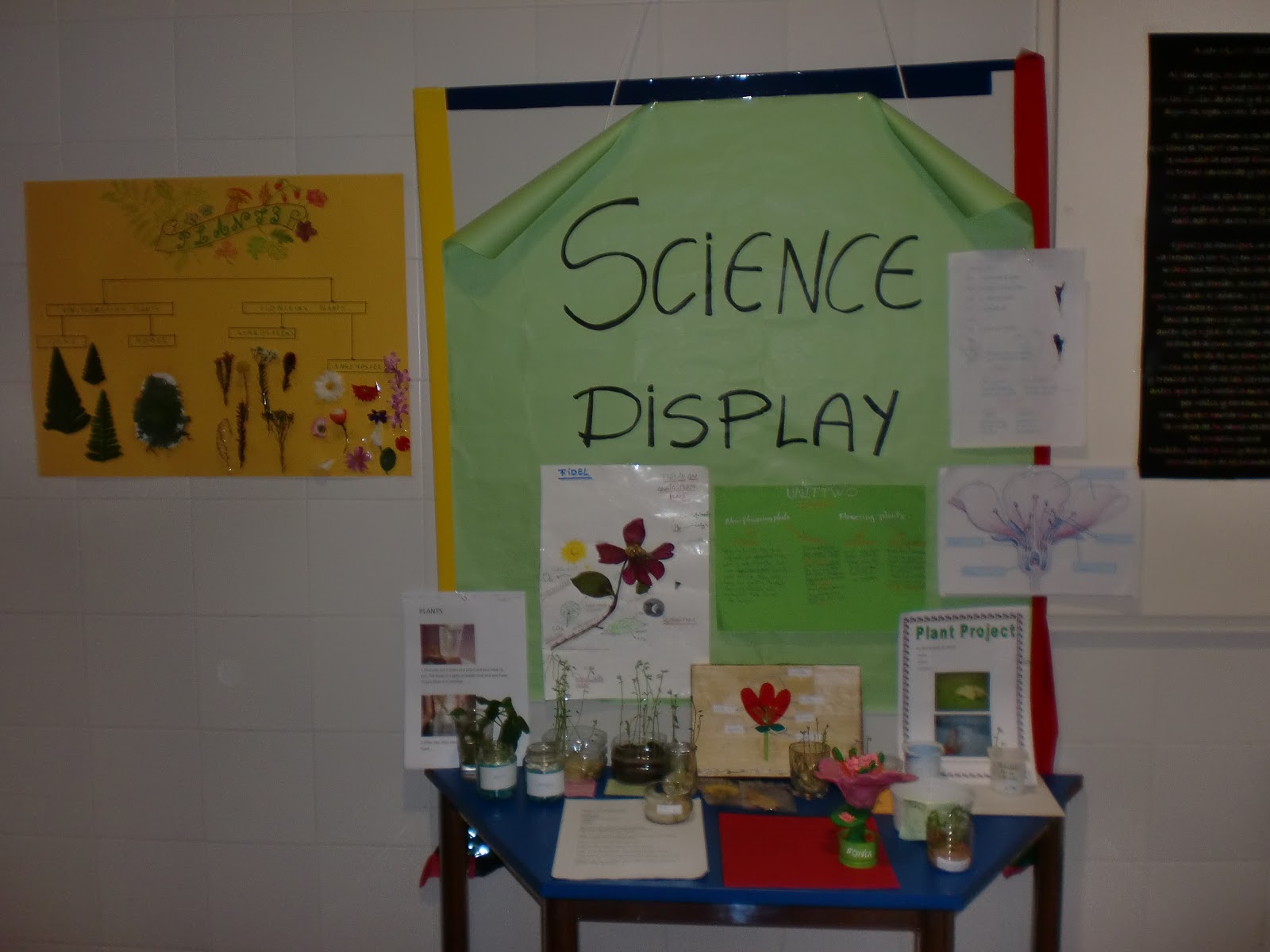 SCIENCE, HISTORY AND GEOGRAPHY, YEAR 5 and 6: SCIENCE DISPLAY