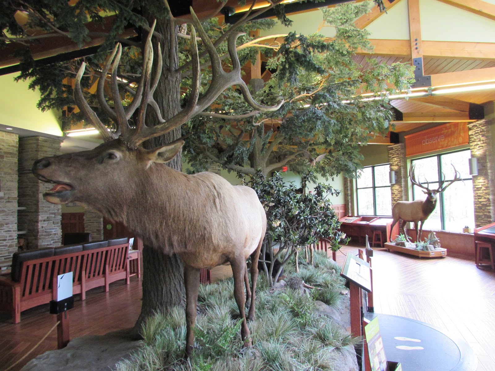 Learning about PA's Elk Herd at the Elk Country Visitor Center ...