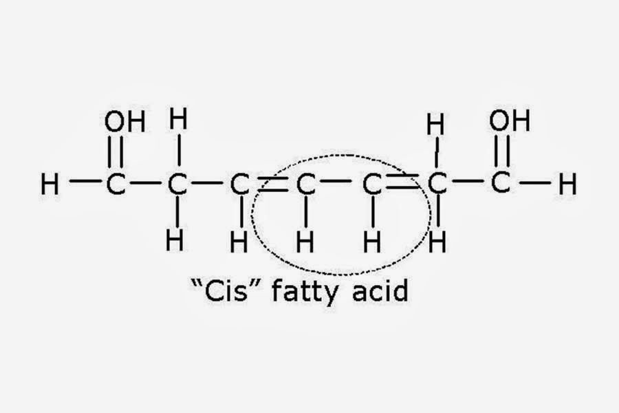 cookinglittle.: What's Up With Trans Fats?