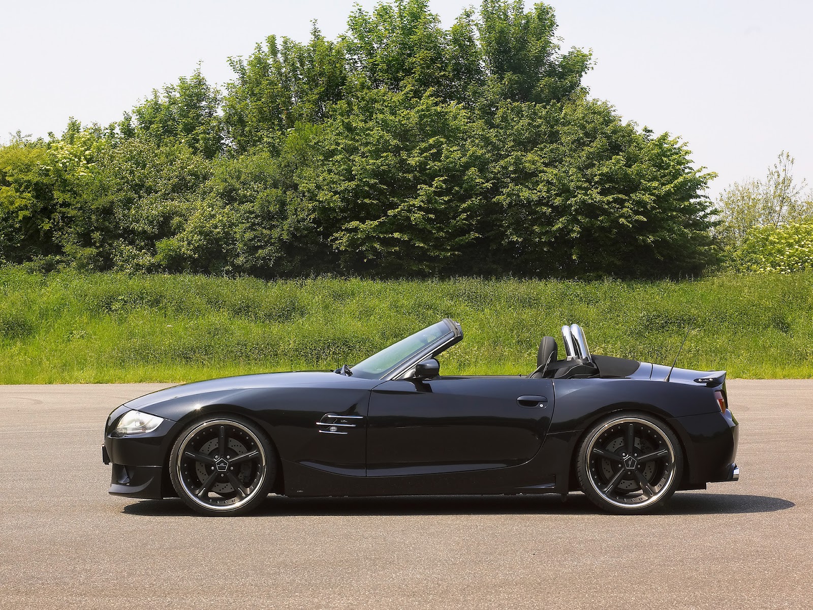 autoale: ROADSTER NA ALMA