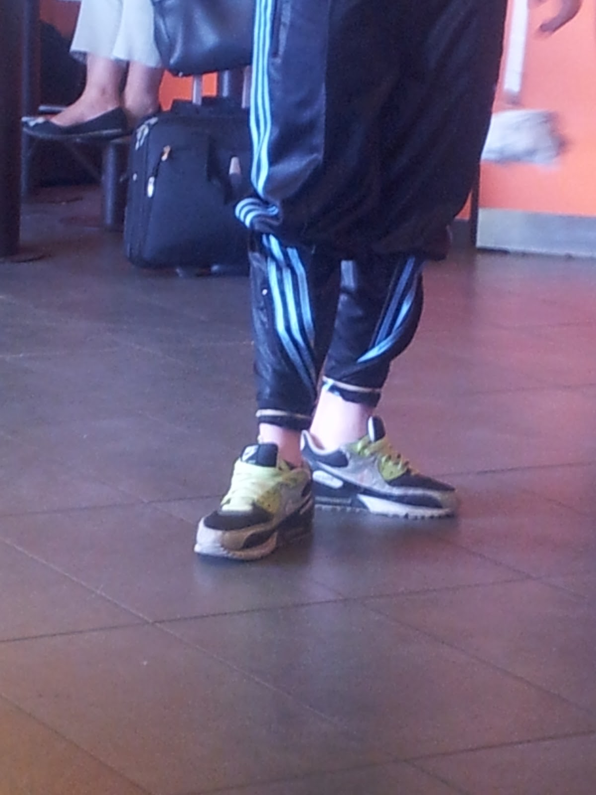 El Despiporre: La última moda cani