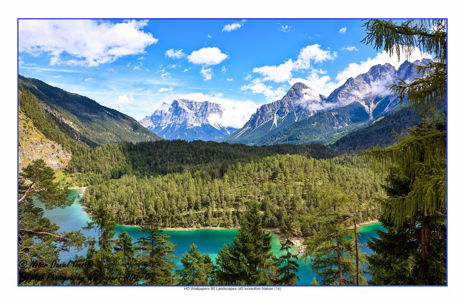 Cine e single si isi cauta iubit/iubita - Single Seeking Single ...