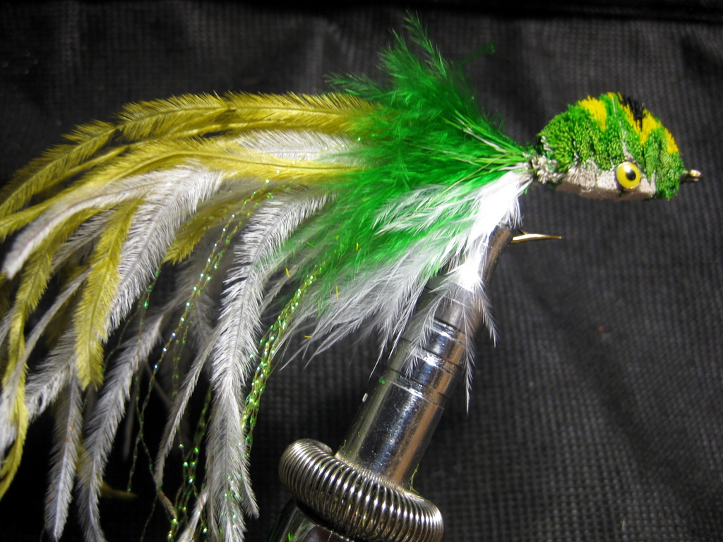 Dead Fisher: The Eyed Snake Fly