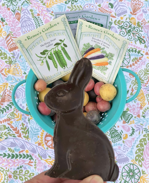 Jac o' lyn Murphy: 5+ Festive ways to use Chocolate Rabbits for Easter