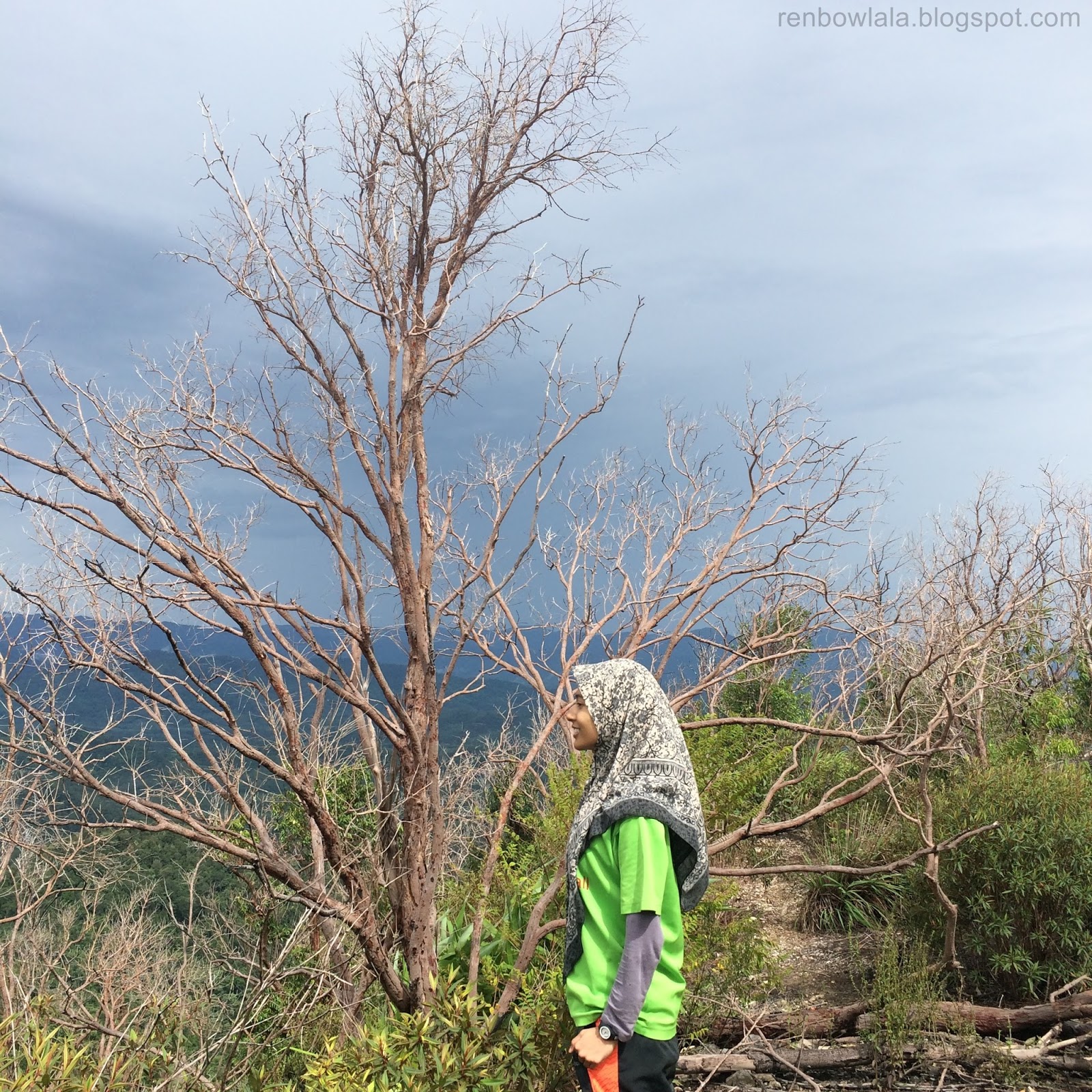 Rainbow Veins: Gunung Kenderong x Gunung Kerunai 2016