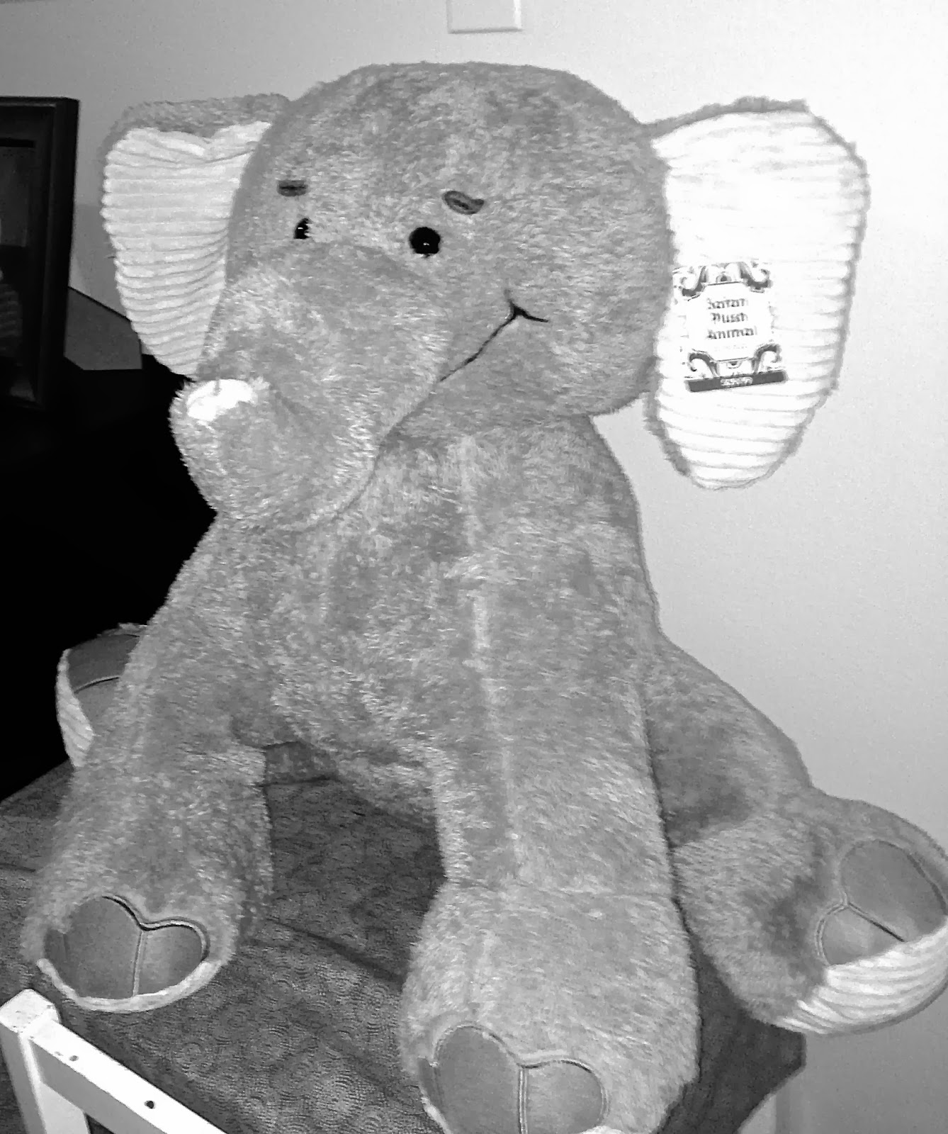 Y Not The Elephant In The Room y-not-the-elephant-in-the-room