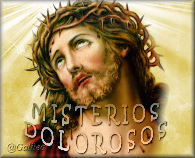 ® Virgen María, Ruega por Nosotros ®: IMÁGENES DE LOS MISTERIOS ...