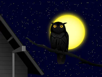 EL LADO OSCURO: EL BÚHO: ¿Un ave que atrae la mala suerte?