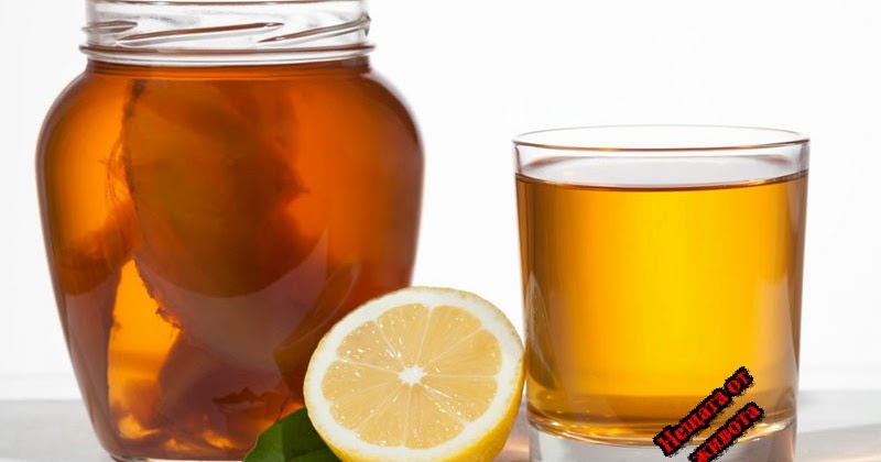 Нещата от живота: Полезни свойства на чаената гъба ( Комбуча )