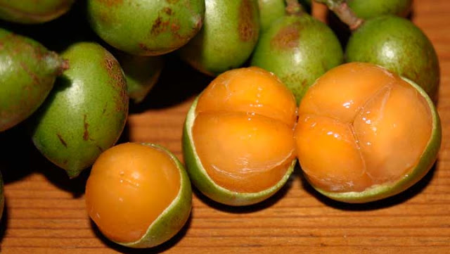 MI RESUELVE: Asómbrate con las propiedades curativa del "Mamón"