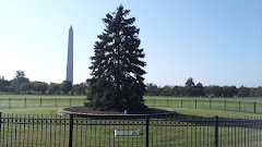 Adventure Series - Washington DC - Monuments Memorials Virtuals