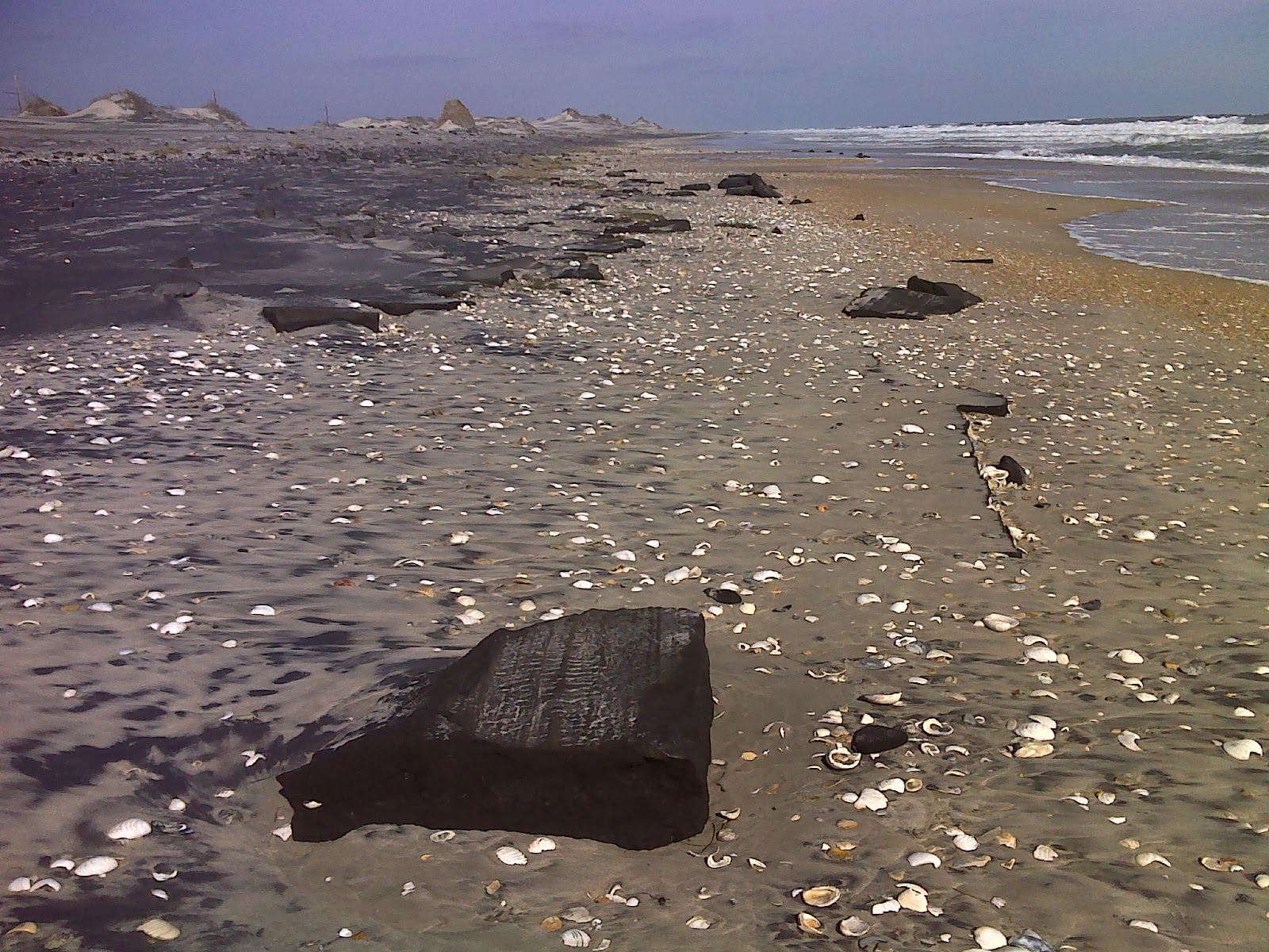 Heart and Sole: Shipwrecked on Pea Island