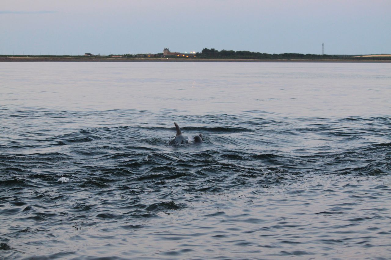 Our backpacking trip: Dia 47 / Day 47 - August 18/2012