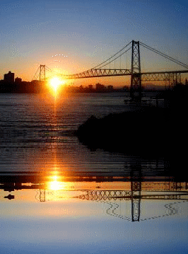 SÓ GIFs. ╬╬ ╬╬ ╬╬ ╬╬ ╬╬ : Ponte Hercílio Luz - Florianópolis - SC.