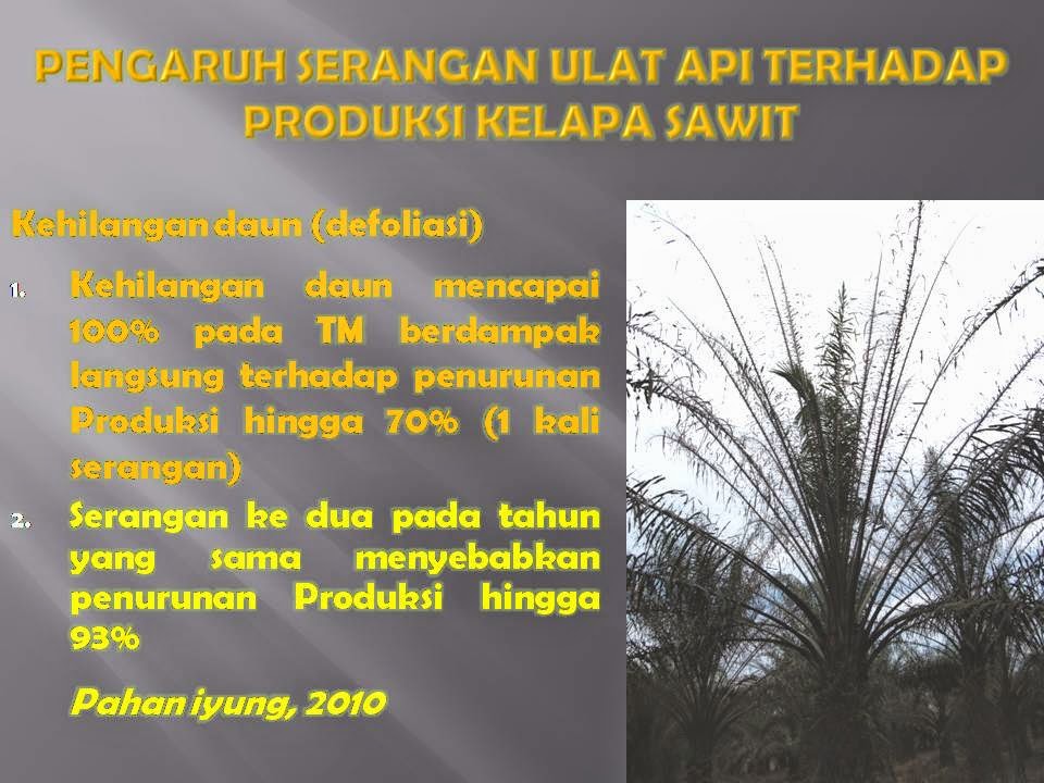 PANDUAN PENGENDALIAN ORGANISME PENGGANGGU TANAMAN (OPT) KELAPA SAWIT ...