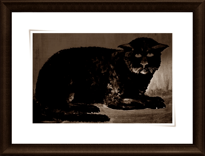 Historias y leyendas: El Gato negro de Killakee House