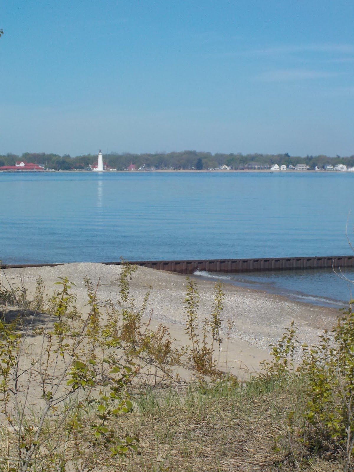 Wit Ventures: Canatara Beach Earns One of Sarnia-Lambton Blue Flag ...