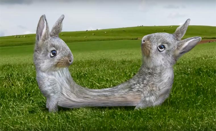 7 billion, de cyriak