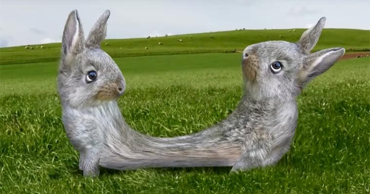 7 billion, de cyriak