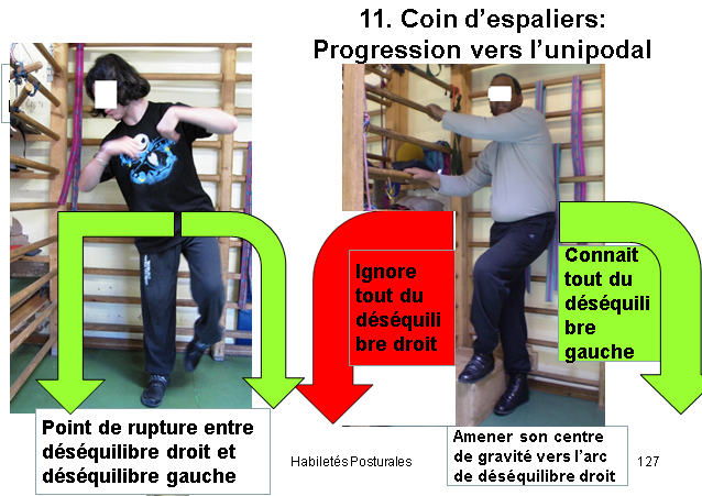 Neurokinésithérapie: l'Espace et la Mesure: III. 11. PROGRESSION VERS ...