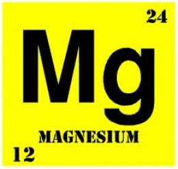 Everyday Science: Magnesium Toxicity (mg24),