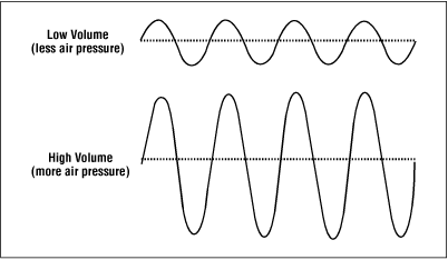 Mi primer año en Red XXI: SOUND (Unit 4 - Science Y6)