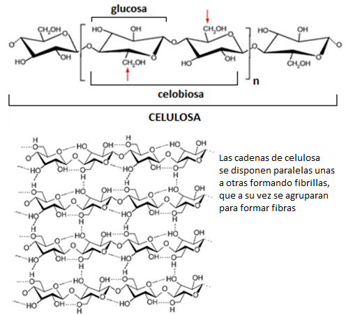 Quimica de Madera (Polimeros) - [PDF Document]