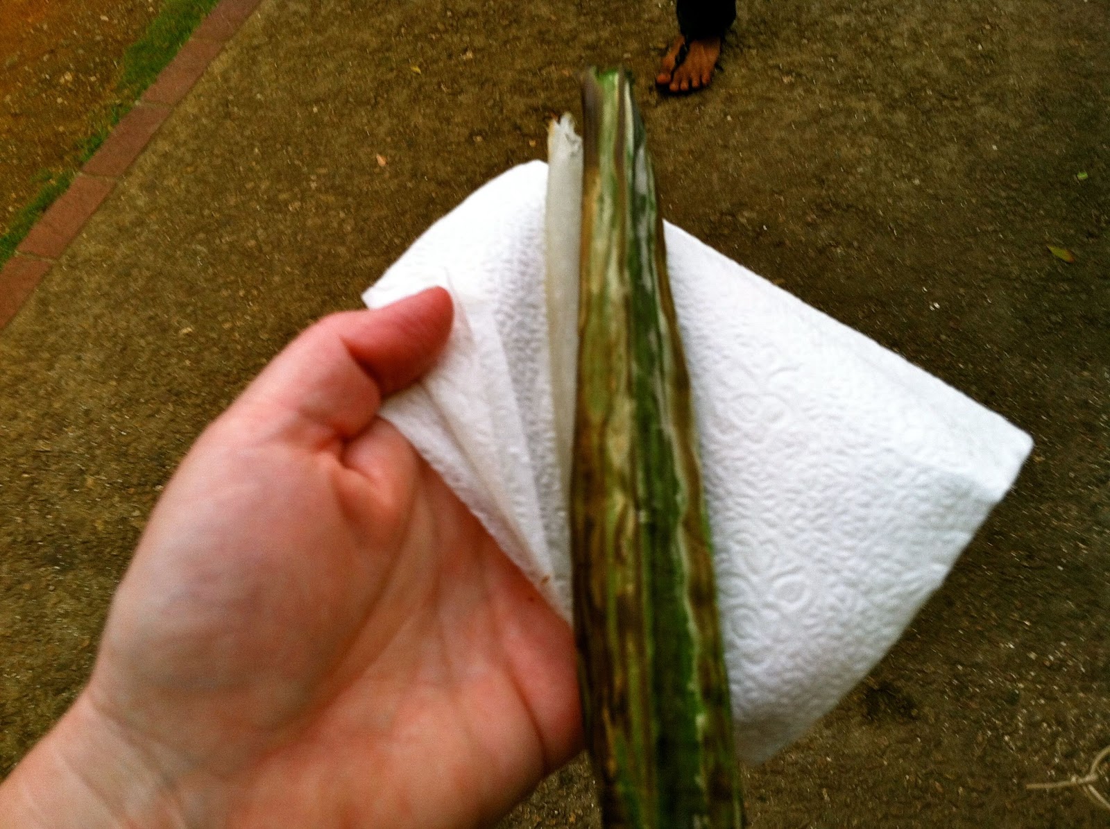 Different views of Guamanian life through the eyes of an American ...