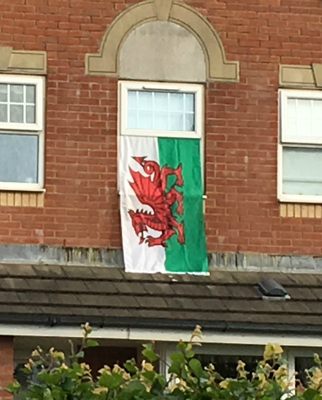 Dragons, Lions and Rabbits | Teddy Bears And Cardigans