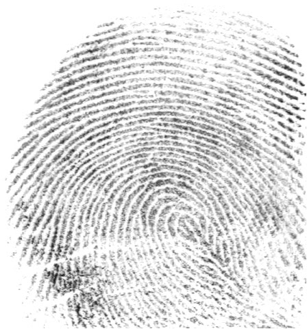 Hristo Alexiev: Finger Print Orientation FIeld