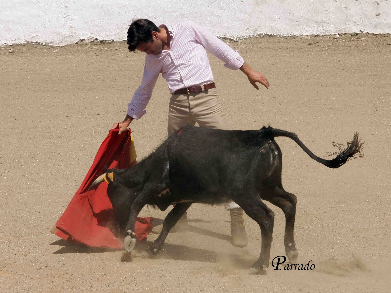 Los Caminos del Toro: Juan Ortega, de muleta en "Los Monasterios"