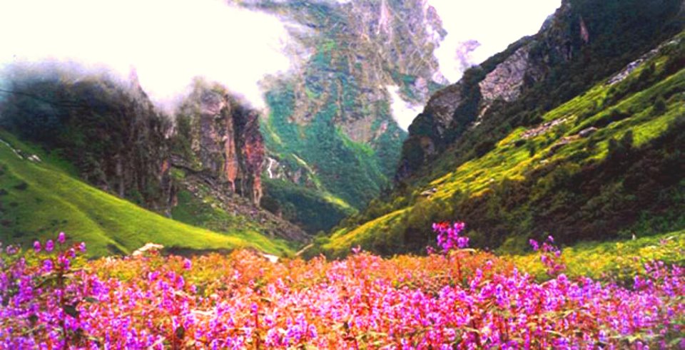 The Amazing World : Valley Of Flowers National Park (The Land Of ...