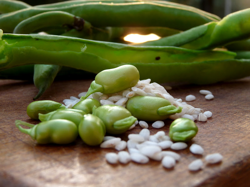 Gourmandise et Cuisine: Risotto Tout Vert aux Fèves et Pesto de Roquette