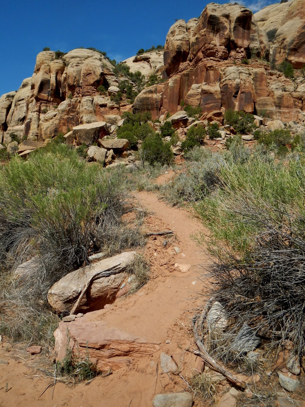 The Southwest Through Wide Brown Eyes: Hiking Around Shay Canyon - Part One