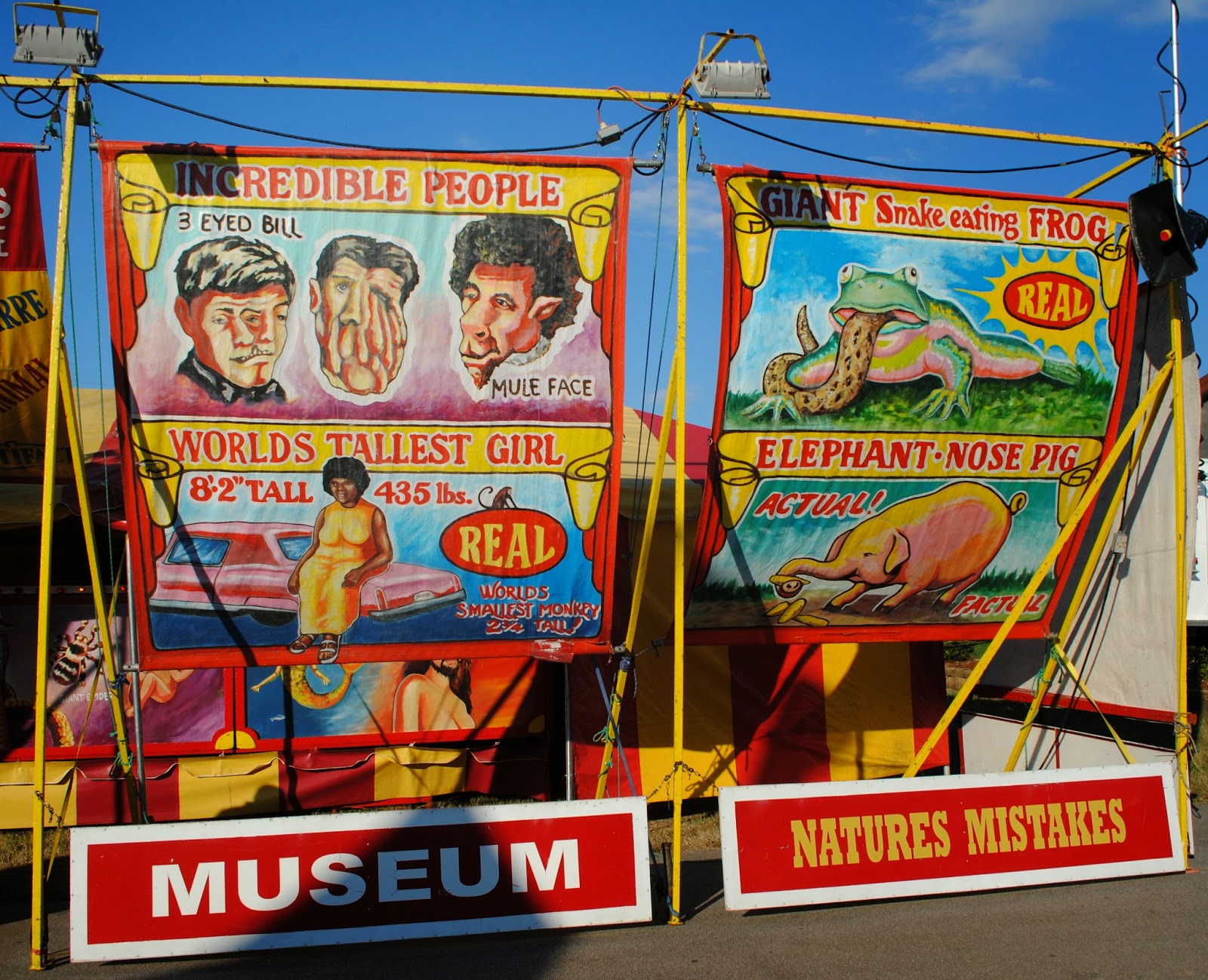 The Carpetbagger: Freakshow Wonderland at the State Fair