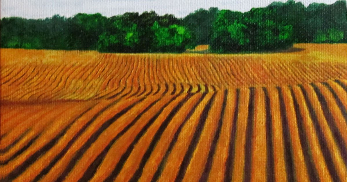 The Daily Undertaker, The Variety and Importance of Ritual