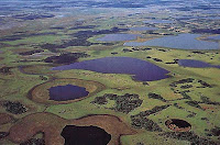 Regiones Geográficas de Argentina: Grupo 3 - Región del NEA