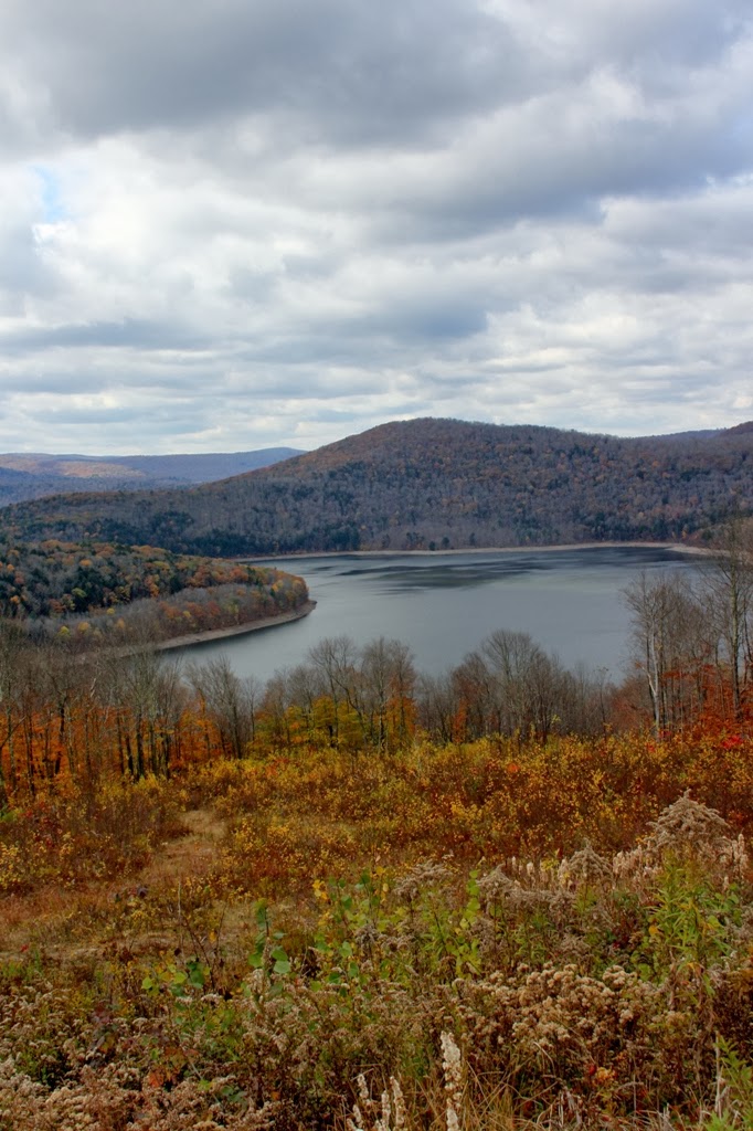 Hiking: Shavertown Trail - Pepacton Reservoir | Town of Andes, Catskill ...