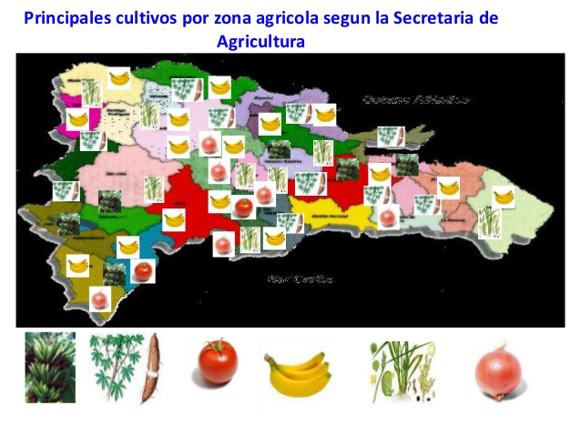 Las Principales Actividades Económicas, de República Dominicana ...