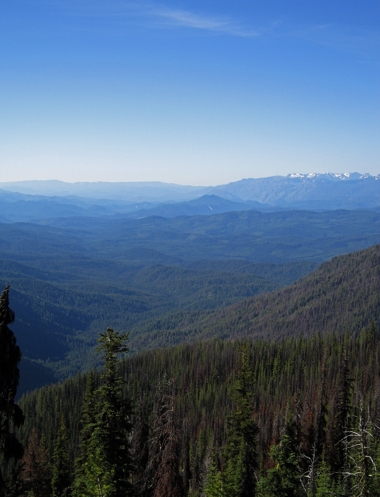 Seeking Ultra: Rampart Mountain-Basalt Ridge, Entiat range