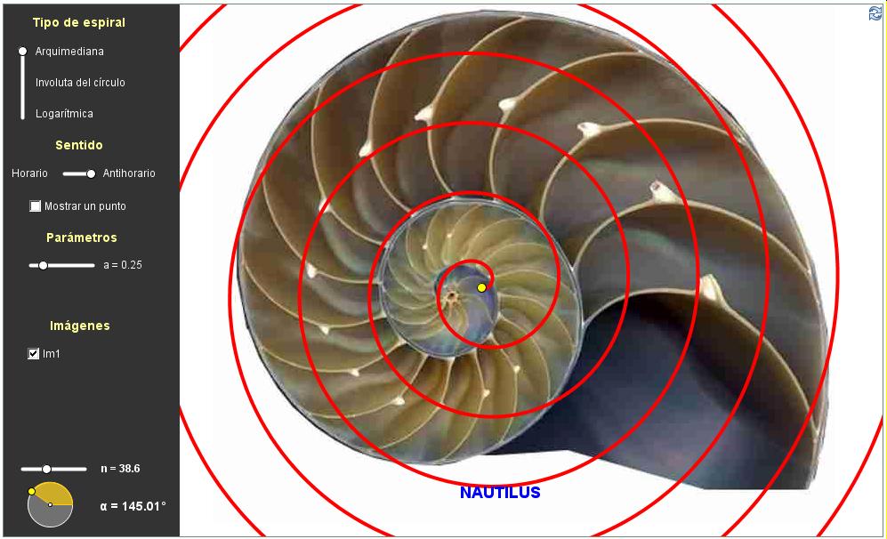 Azul turquesa bitácora de Teresa: Proyecto Nautilus. Explorando las ...