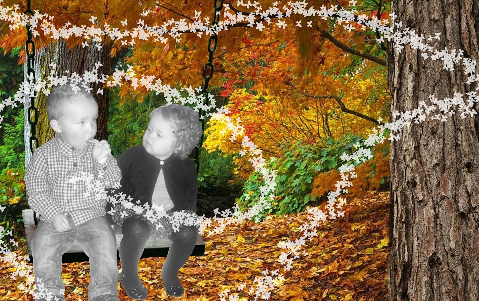 The Weird Owl: Photography - cut and paste