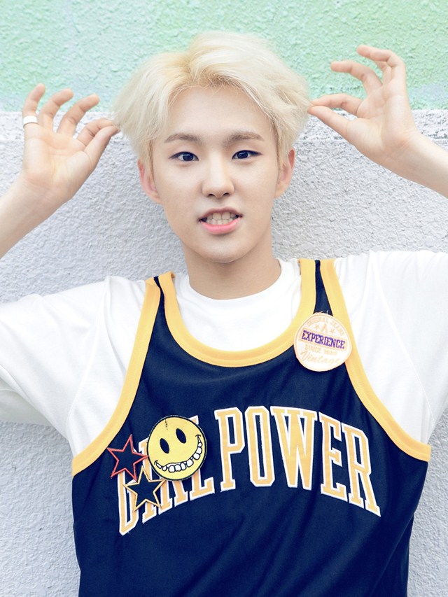 Share Like and Happy: Profil, Biodata dan Fakta SEVENTEEN