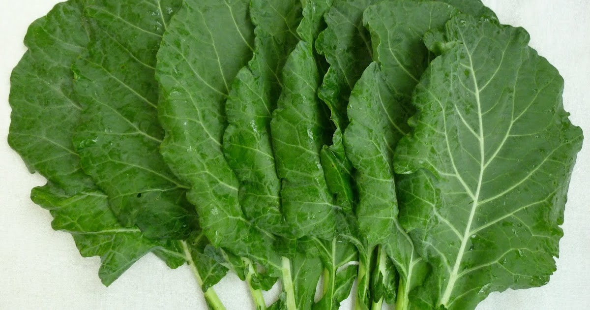 Além da curiosidade: Couve e seus benefícios para a nossa saúde - mais ...