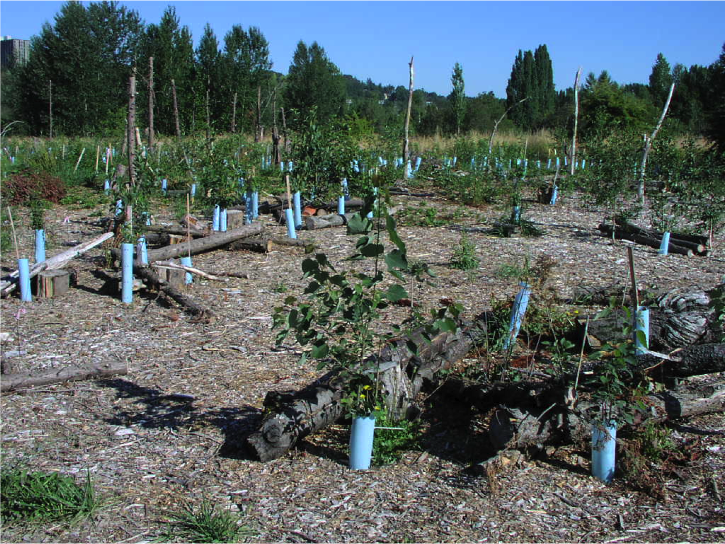 Union Bay Natural Area, ENVIR 280 Journal: Self Guided Tour ...