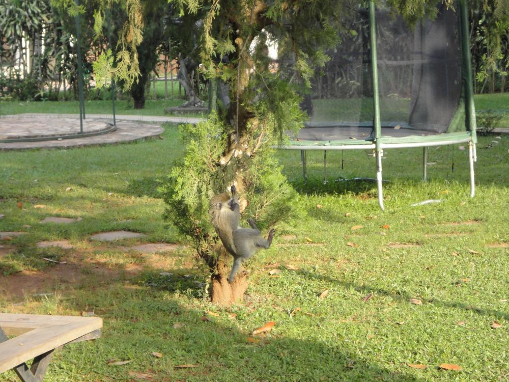 Simon in Uganda: First Impressions